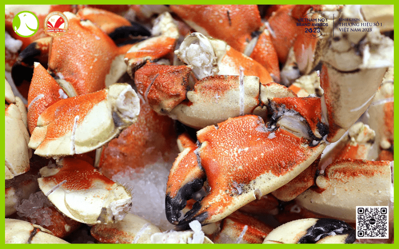 Càng Cua Jonah Hấp - New Fresh Foods